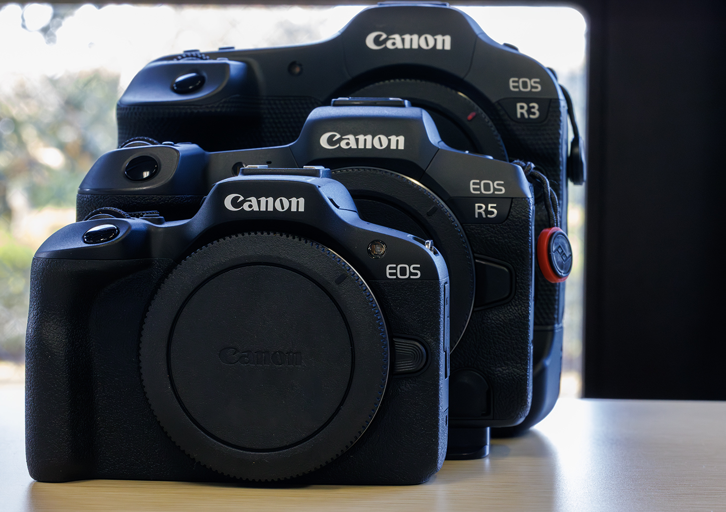 EOS R 最軽量、R100とR5、R3のサイズ感 – mono-logue